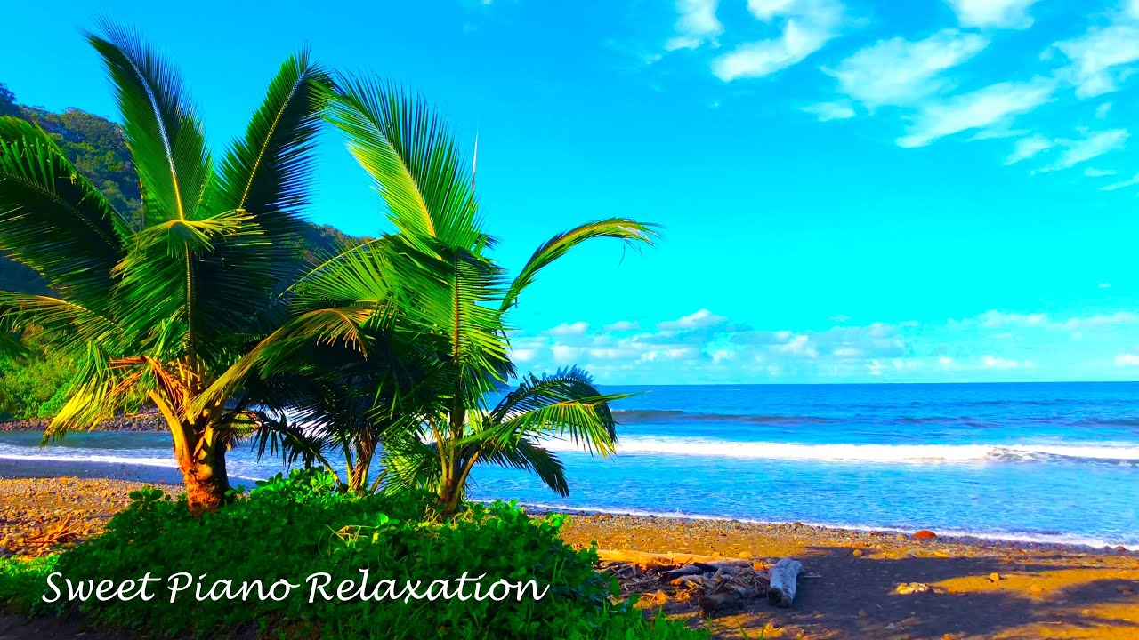 Ocean Waves Sounds Relaxing Music - Beautiful Piano Music, Background ...