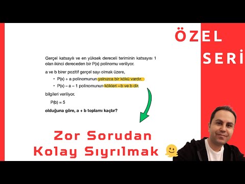 Özel Sorular Serisi - Polinomlar - 9