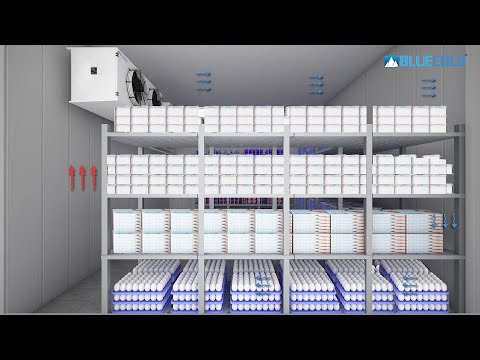 Multi Commodity Cold Room with Shelving | Cold Storage | Blue Cold ...