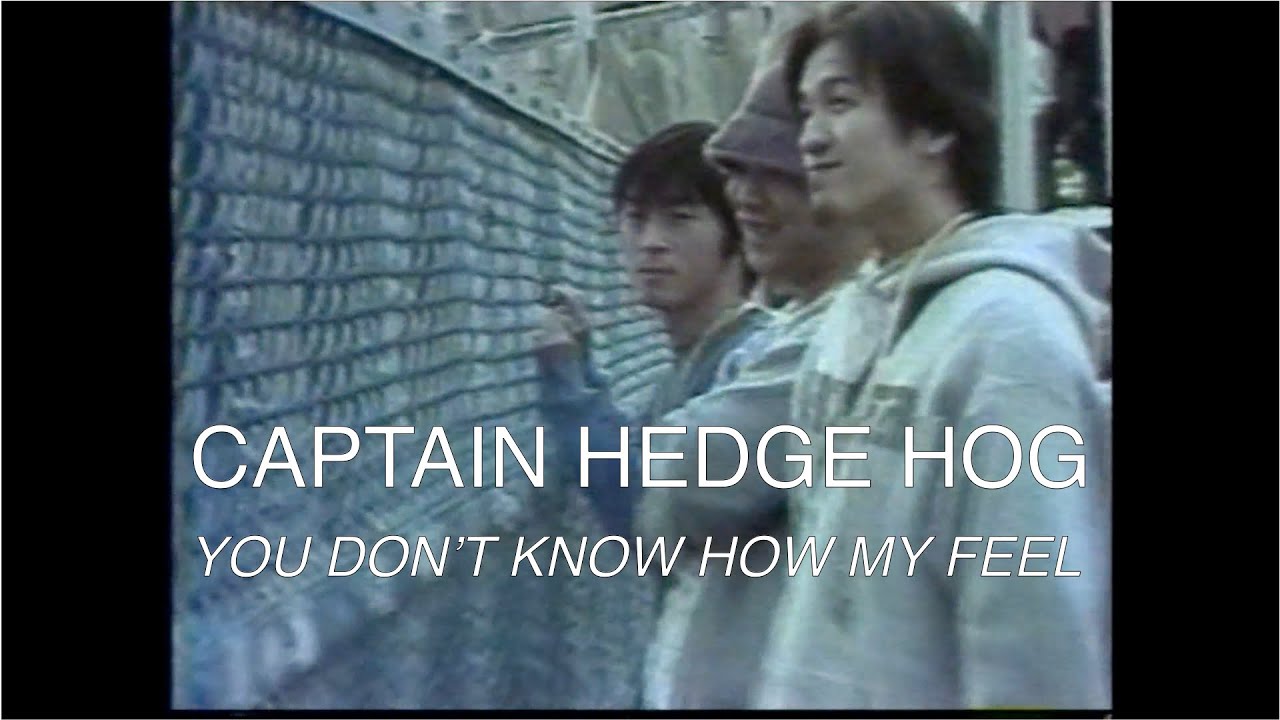 CAPTAIN HEDGE HOG ~YOU DON'T KNOW HOW MY FEEL~ - YouTube