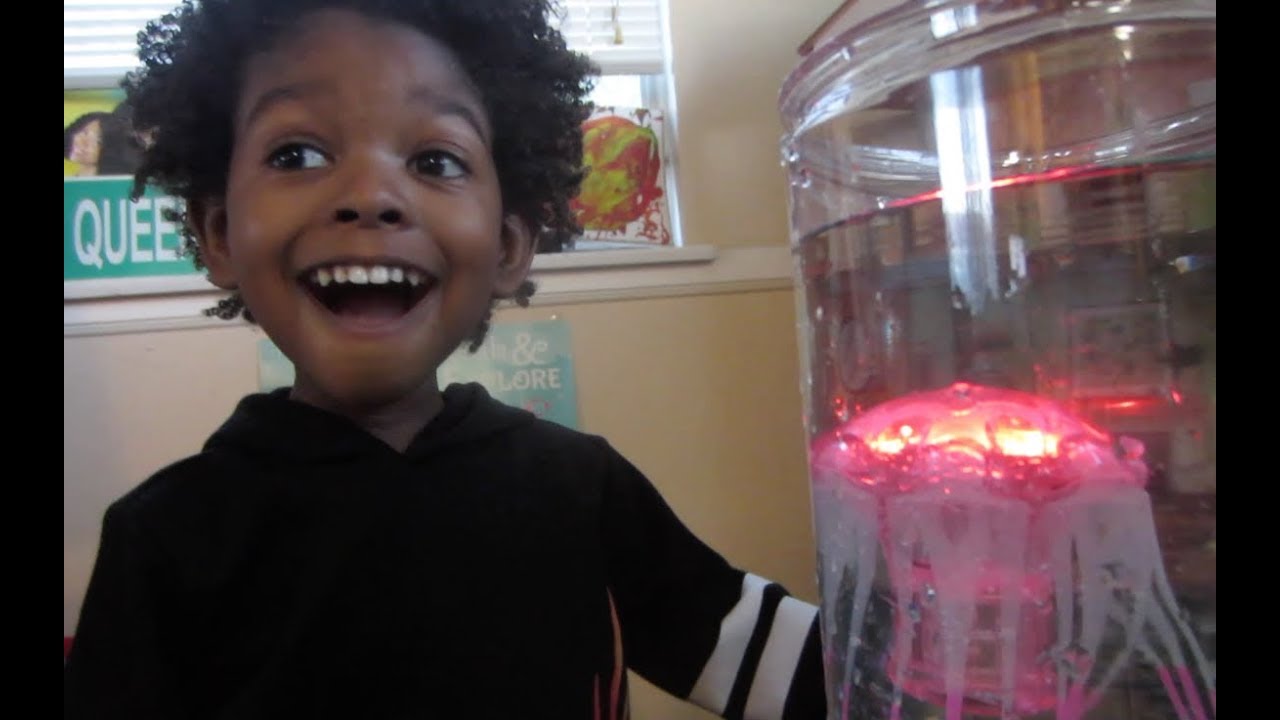 HEXBUG Aquabot Jellyfish Review - Out of this world! -Young Buddha ...