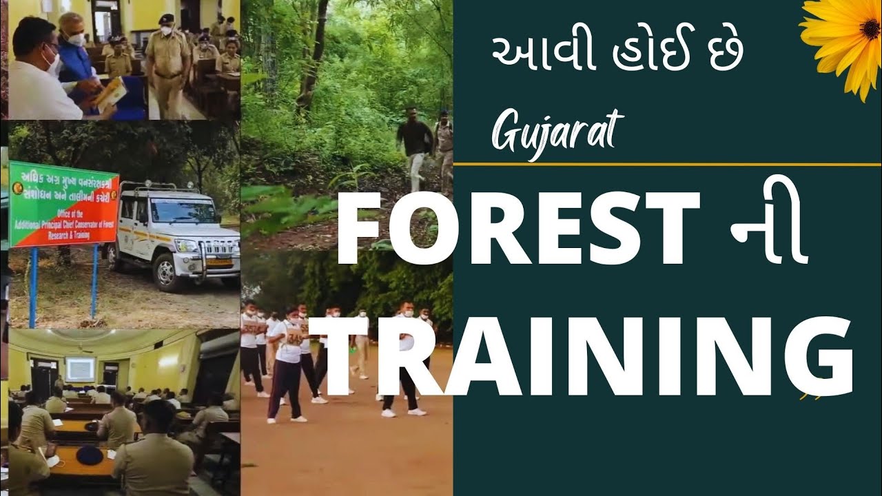 Gujarat Forest guard training|Gujarat Forest Department - YouTube