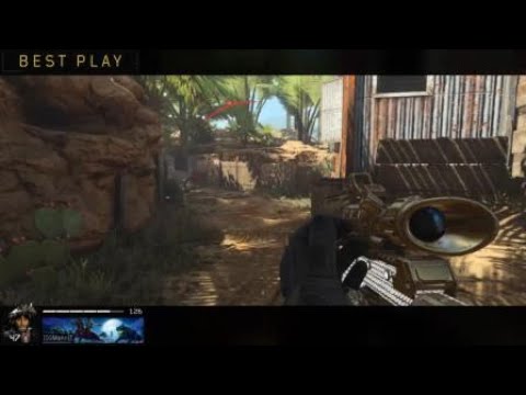 COD BO4 Diamond Paladin Gameplay - YouTube