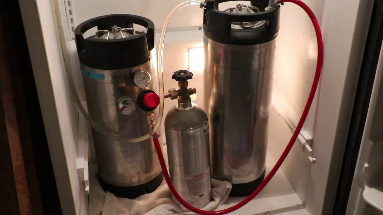 Pouring homemade craft brewed Session IPA from a Cornelius keg with ...