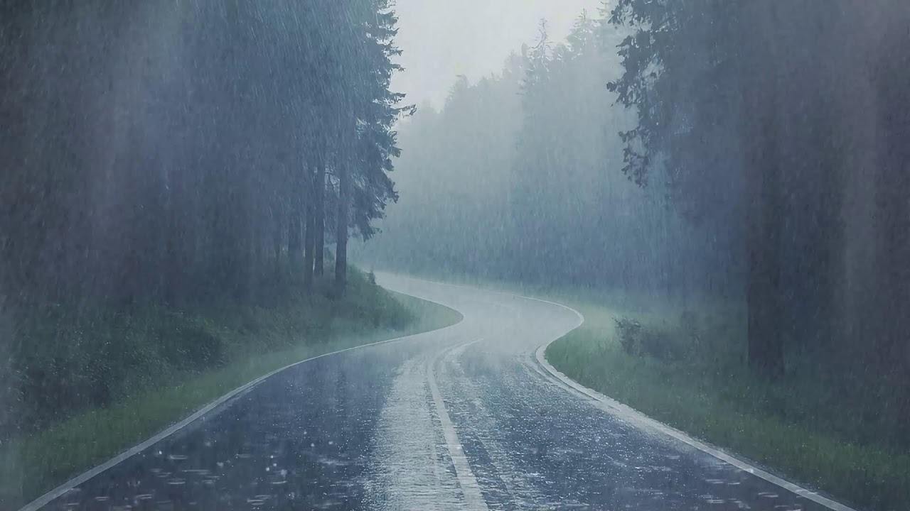 Heavy Rain To Sleep Immediately - Let The Sound Of Rain Wash Away Your ...