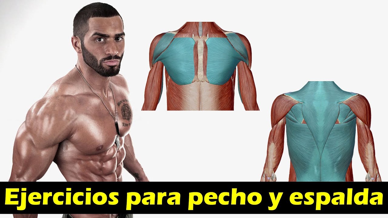 Ejercicios para pecho y espalda (Lazar Angelov) - YouTube