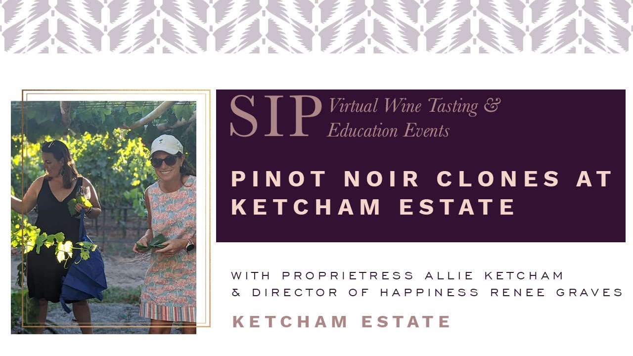Women Made Wine at Ketcham Estate | Pinot Noir Clones, Grateful Dead ...