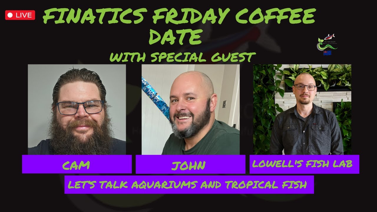 FFCD Episode 211 Lowell from Lowell's Fish Lab - Breeding Tropical Fish ...