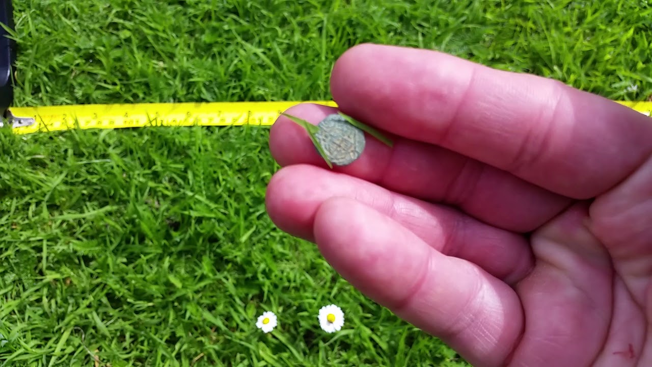 Tangra UK Edition Metal Detector 9" & 12" Spider Coil Air test - YouTube