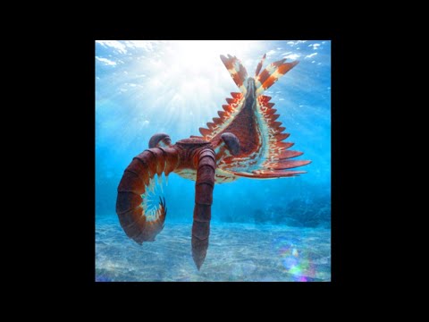 Anomalocaris | "El Camarón Anormal" | PaleoPedias 🇺🇲 - YouTube
