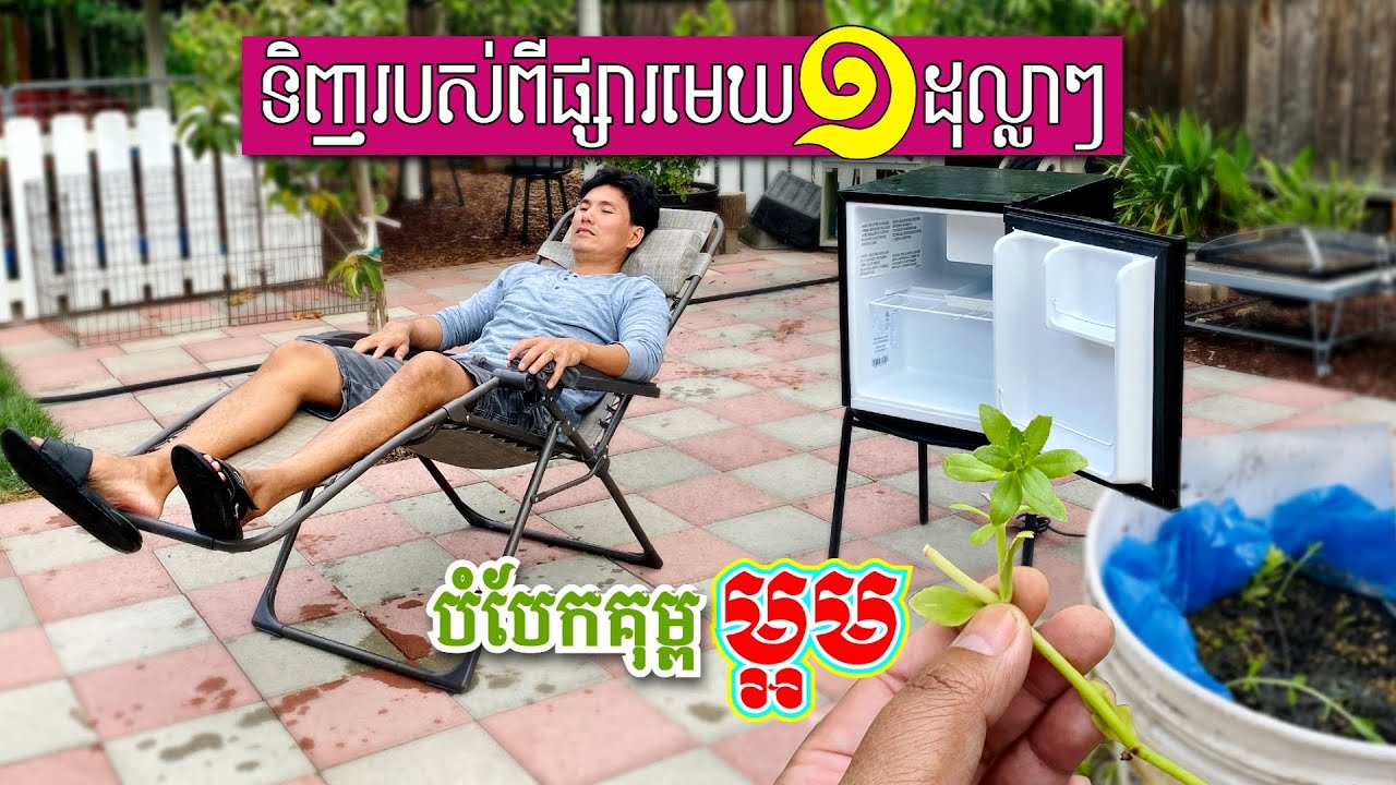 MULTIPLY RICE PADDY HERB, FLEA MARKET $1 FRIDGE, BEER CRAB, COSTCO ...