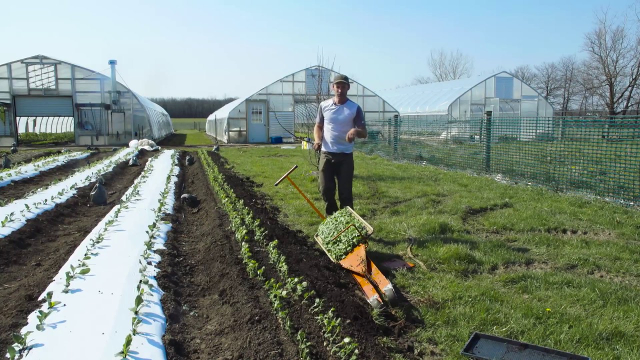 How to Use a PaperPot Transplanter - YouTube