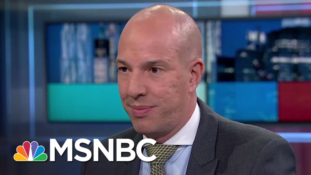 ACLU Exec. Director: 'We're In For The Fight Of Our Lives' | Rachel ...