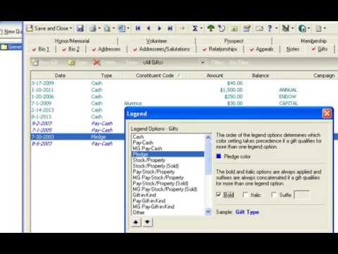 Customize the Gifts Tab in Raiser's Edge - YouTube