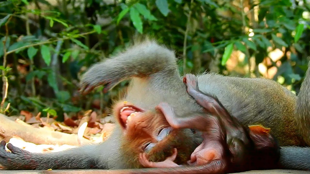New baby Eden falls on the ground - YouTube