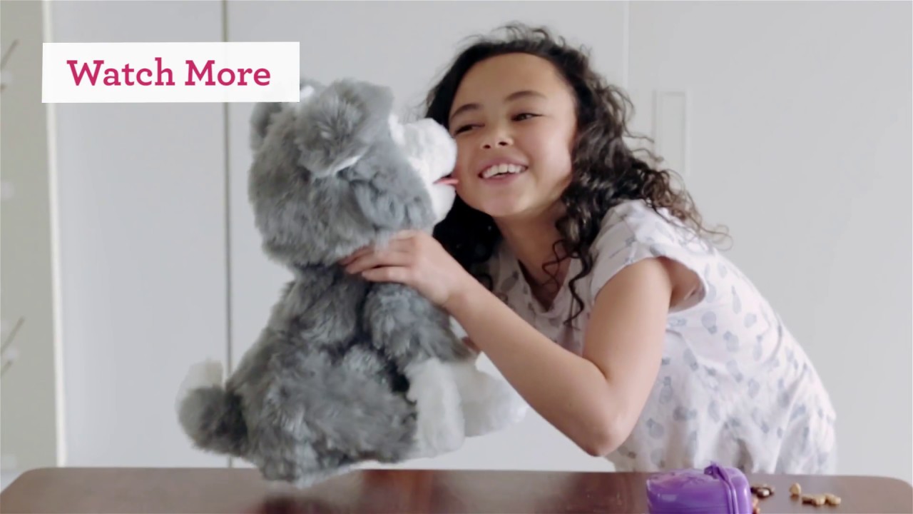 Furreal Friends Ricky | Riley Diary Toy Review Teaser - YouTube