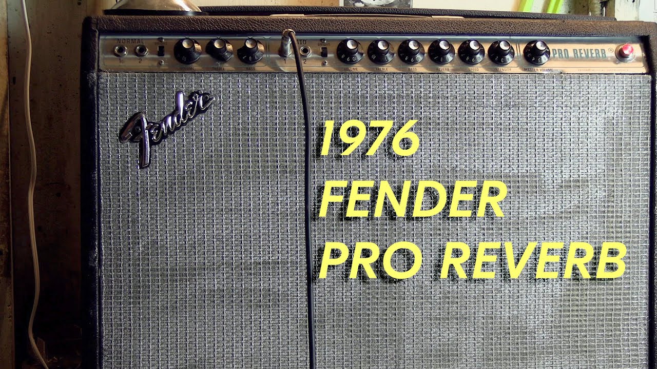 Silver Panel 1976 Fender Pro Reverb - YouTube