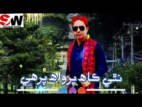 Dil ja Badshah preen