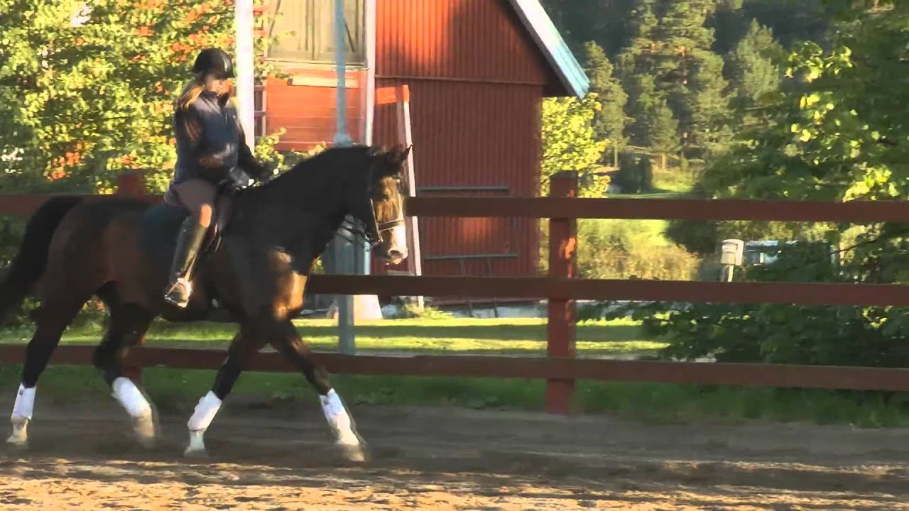 jenny rider filur 2010 09 07 - YouTube