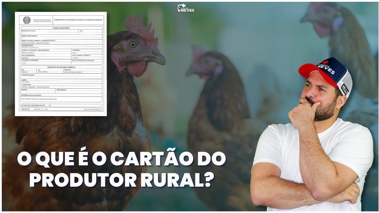 CARTÃO DO PRODUTOR RURAL: O que é, como funciona e como obter esse ...
