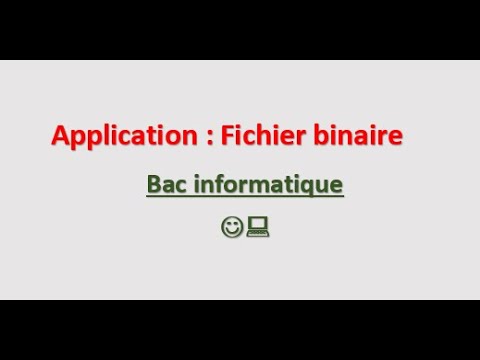 Application : Fichier Binaire(Bac info) - YouTube