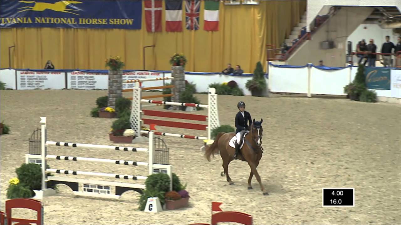 29 AARON 287 Alise V Oken SJHOF AO Jumper Classic - YouTube