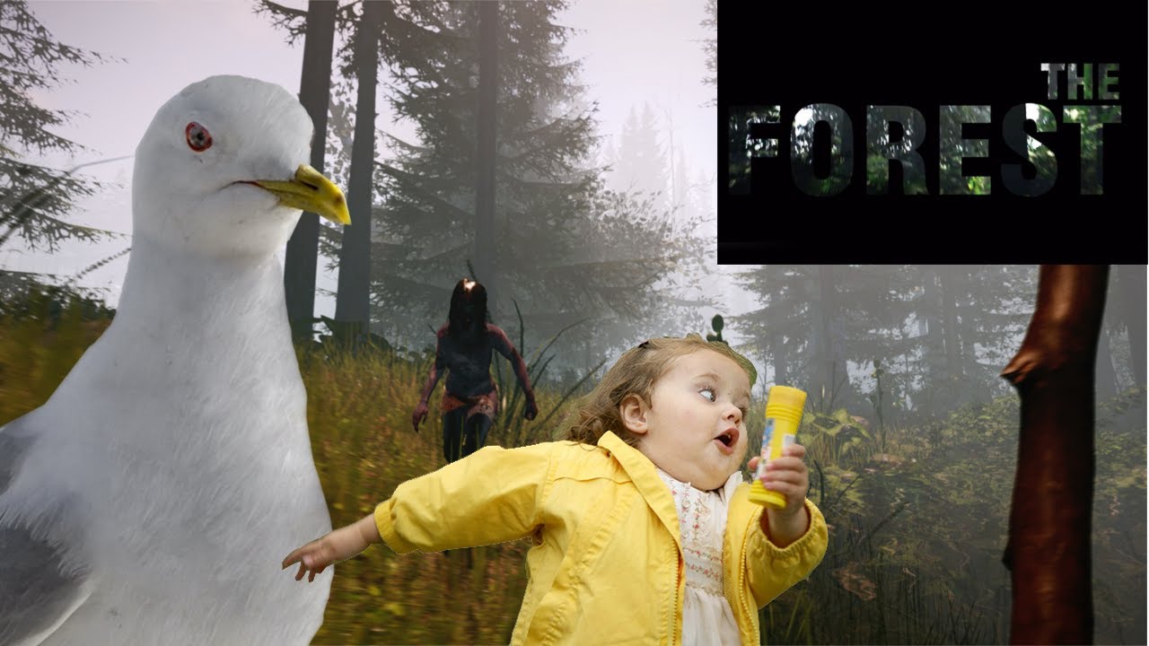 The Forest Gameplay- SEAN THE SEAGULL RAPED ME! - YouTube