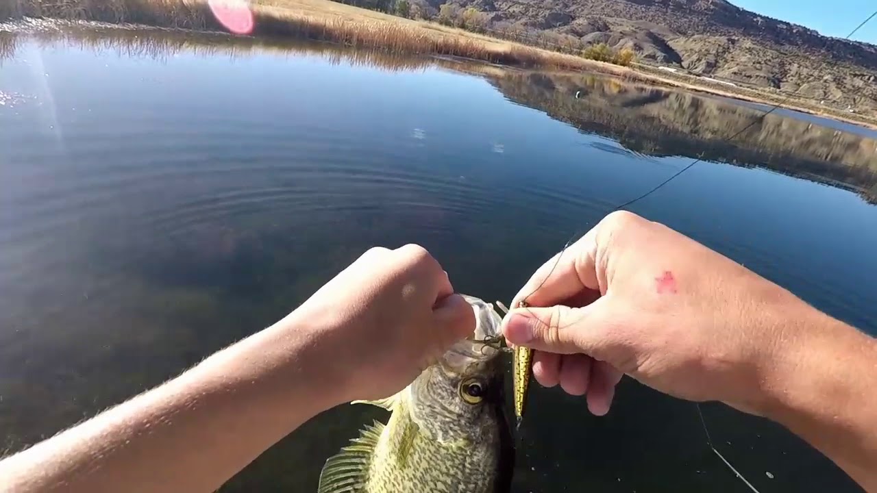 Doc fishing for bass and crappie! - YouTube