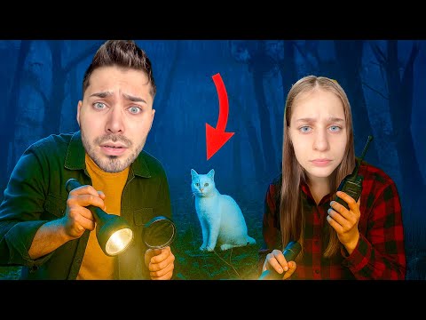 15 GÜNDÜR KAYIP KEDİMİZİ ARADIK! *Yaşıyor mu?*