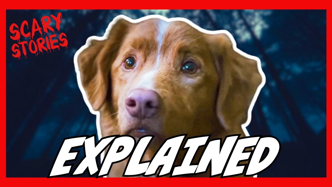 Good Boy Ending Explained: The Entity, The Haunted House, And That Post ...