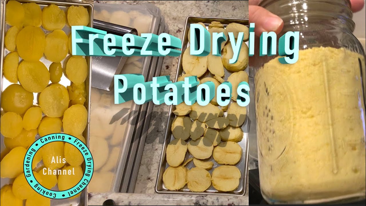 Freeze Drying Potatoes and Rehydration - YouTube