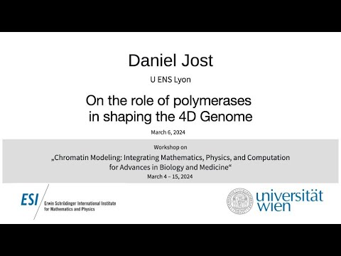 Daniel Jost - On the role of polymerases in shaping the 4D Genome - YouTube