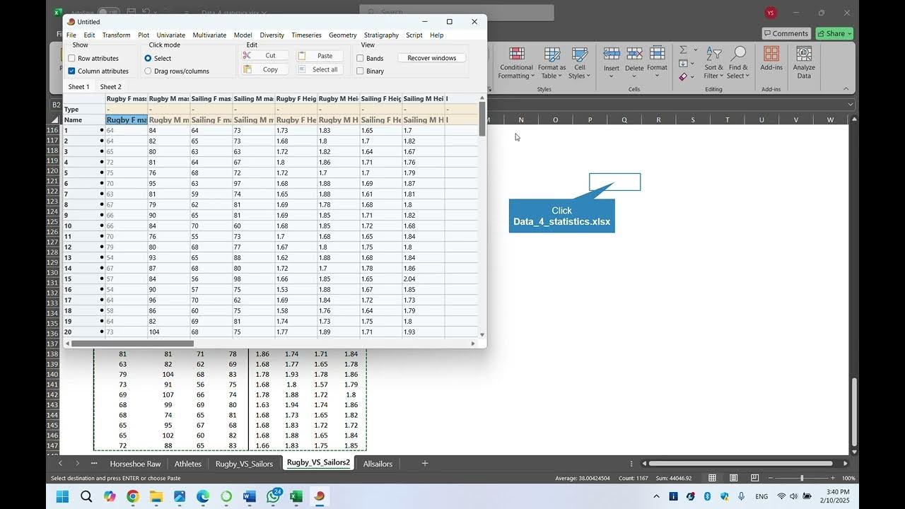 PAST statistical software how to import data - YouTube