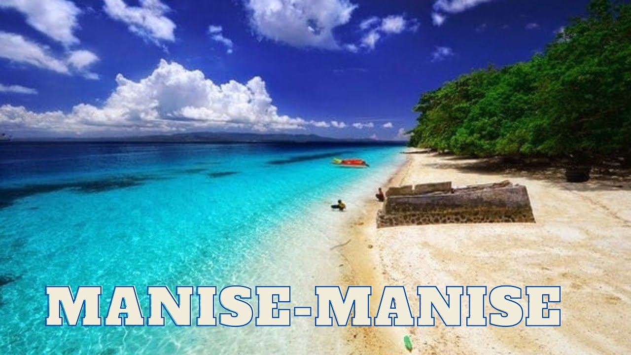 MANISE | LAGU JOGET (REMIX) - YouTube Music