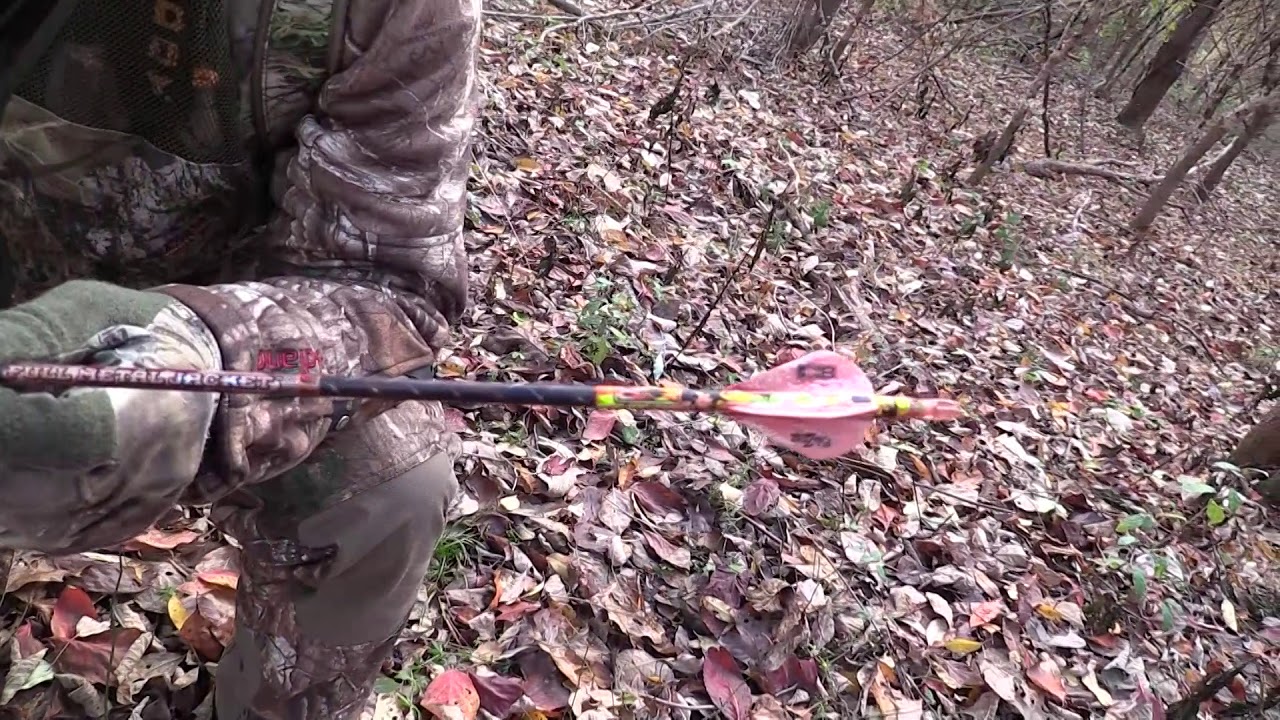 Bowhunting New Jersey whitetails - YouTube