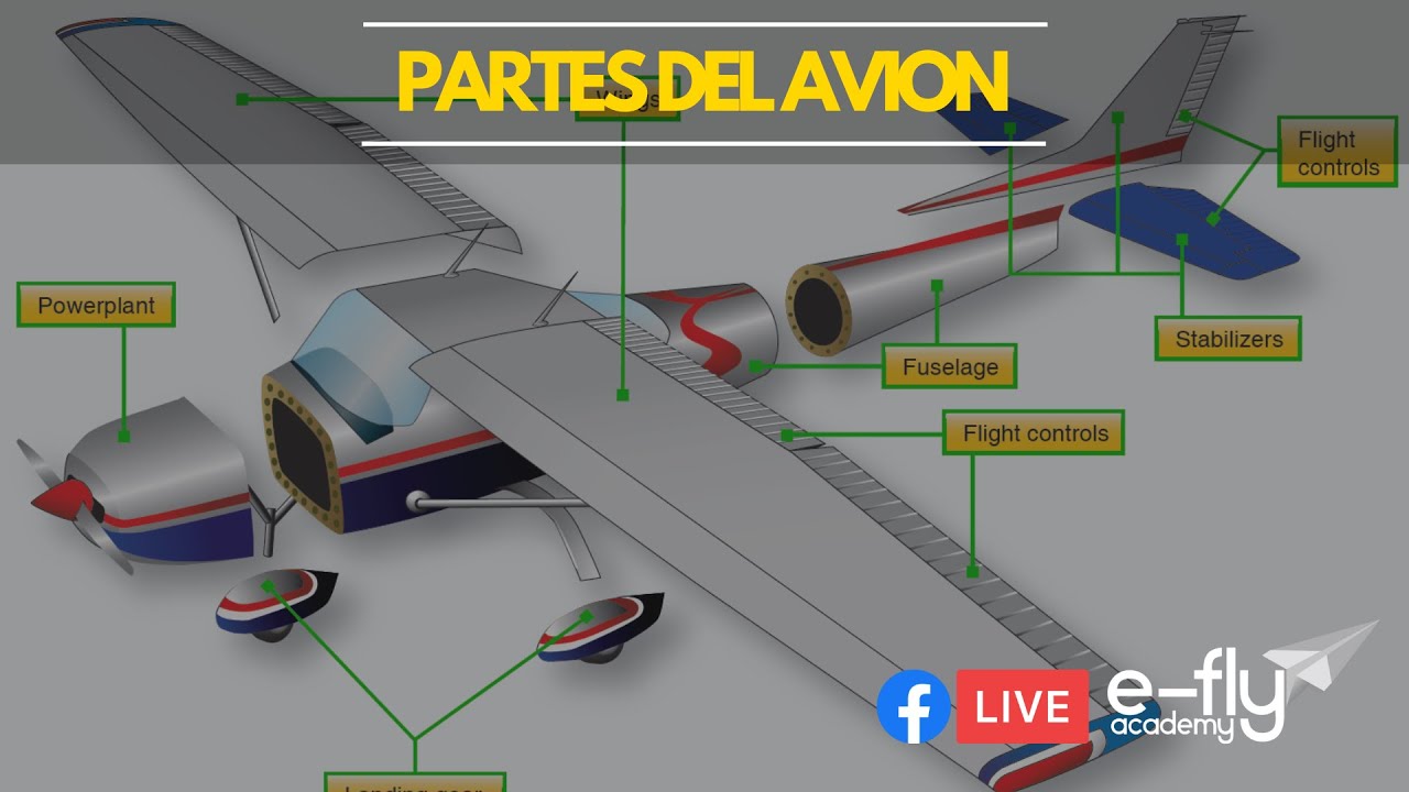 Las Partes Del AviÓn Youtube