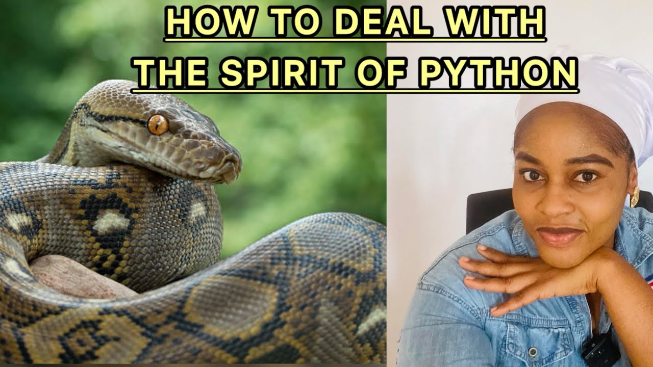 Things you should know about the spirit of python. - YouTube