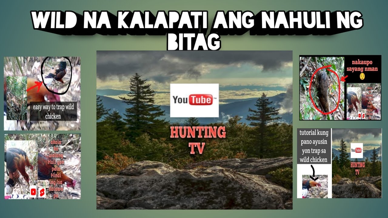 wild na kalapati/hunting tv - YouTube