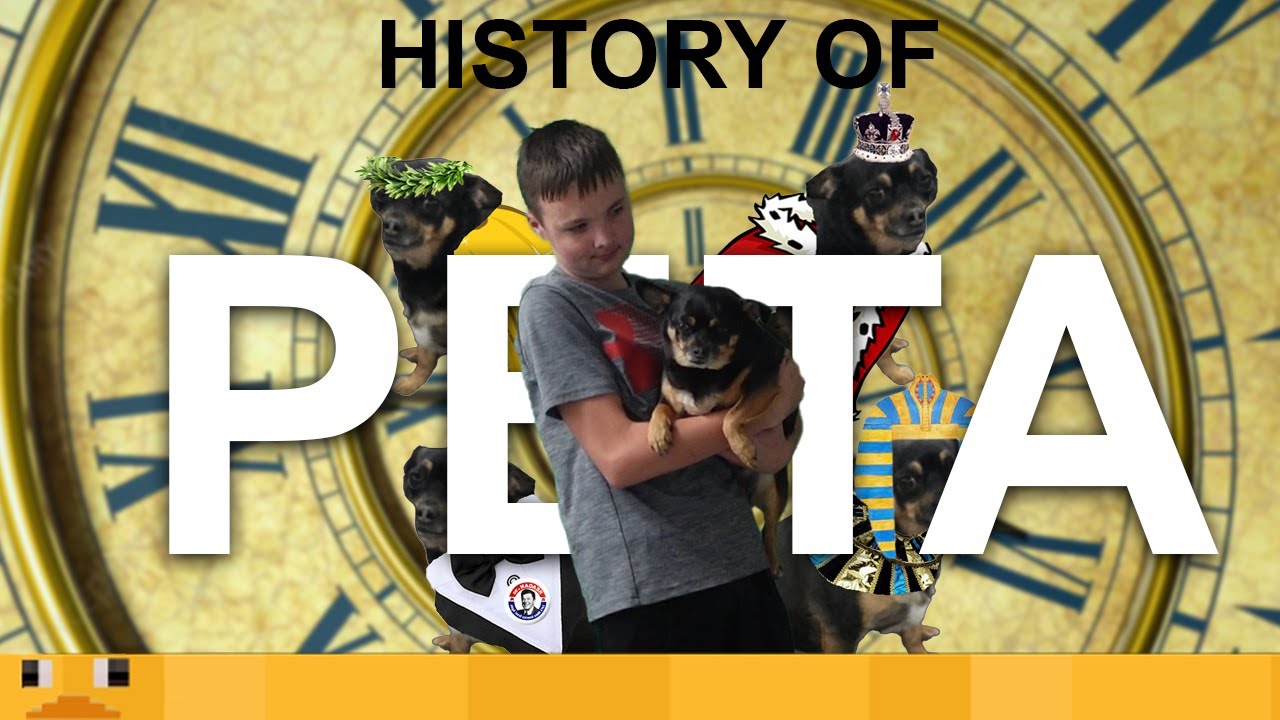 The History Of Peta! - YouTube