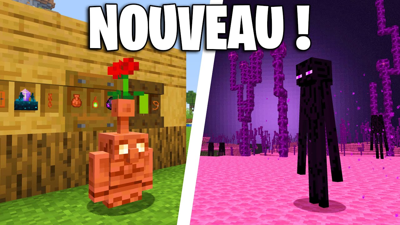 Mise à jour de l'End, des étagères et nouvelle variante de mob RARE ! *Snapshot 25W33A* # ...