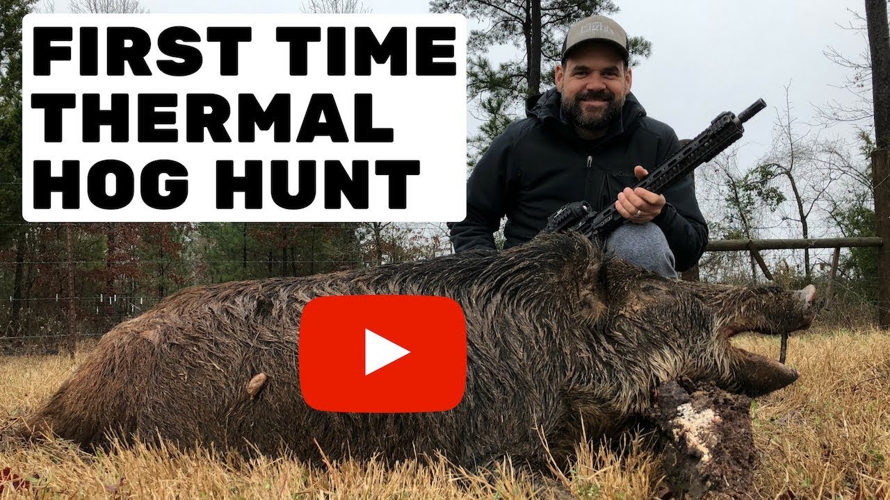 First Time Thermal Hog Hunt CATCH THE FEVER - YouTube