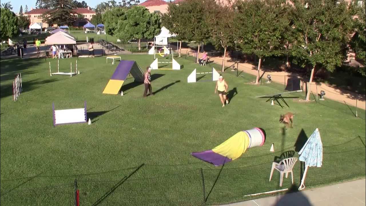 Thea and Jack Sparrow Novice Std 9 28 13 - YouTube