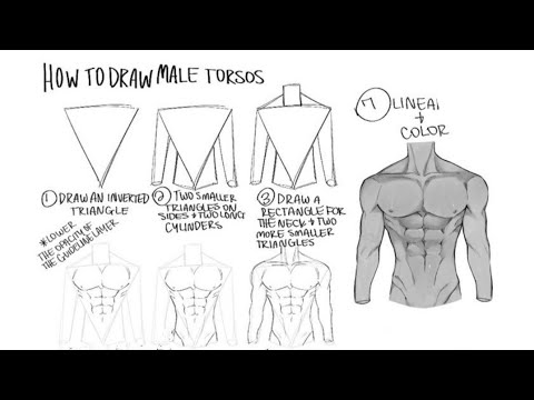 HOW TO DRAW MALE TORSOS (BODY) STEP BY STEP - YouTube