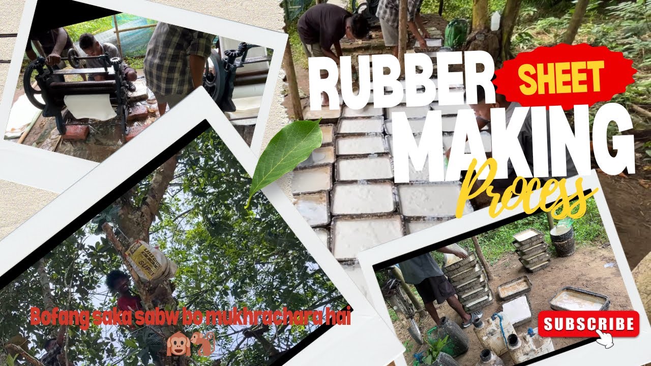 Rubber Sheet Making Process…// Rubber By Thaipung….!!!//😱🥔🚫 - YouTube