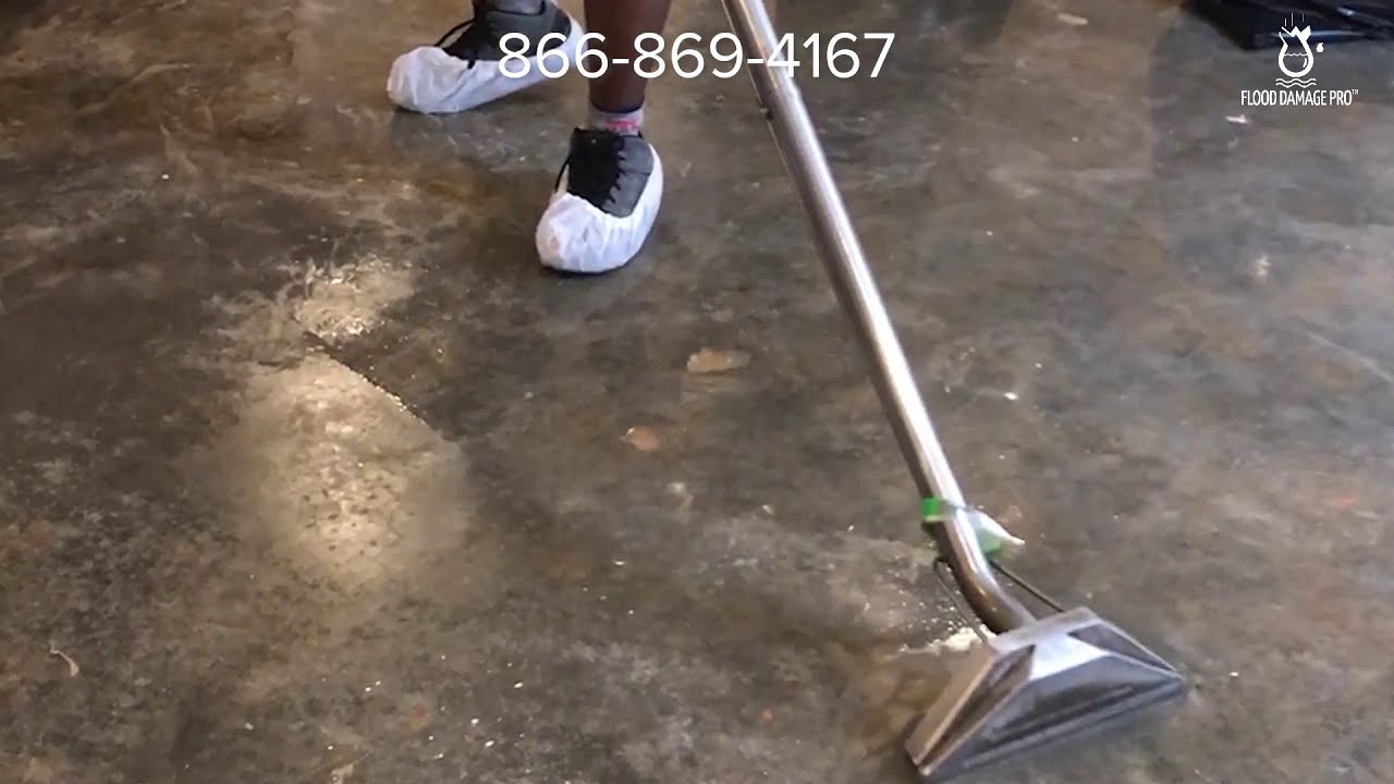 The Difference Between Water Extraction and Water Mitigation - YouTube