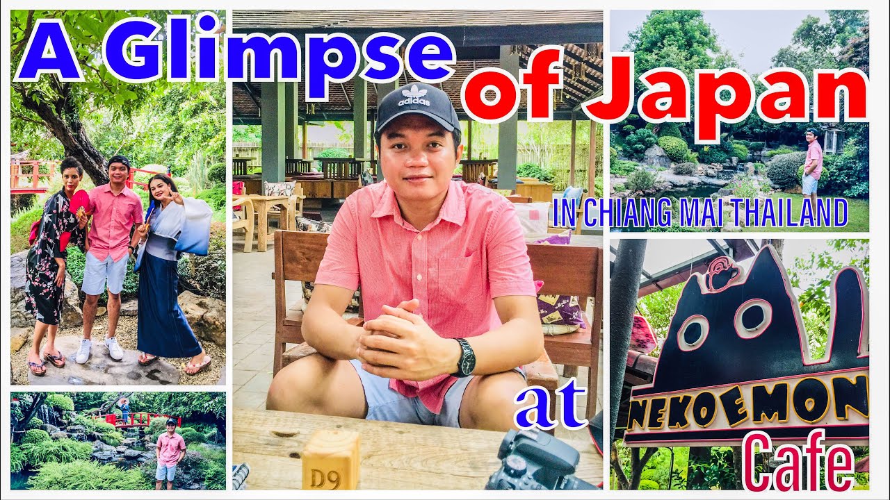A FASCINATING DAY AT NEKOEMON CAFE | CHIANG MAI THAILAND | JAPANESE ...