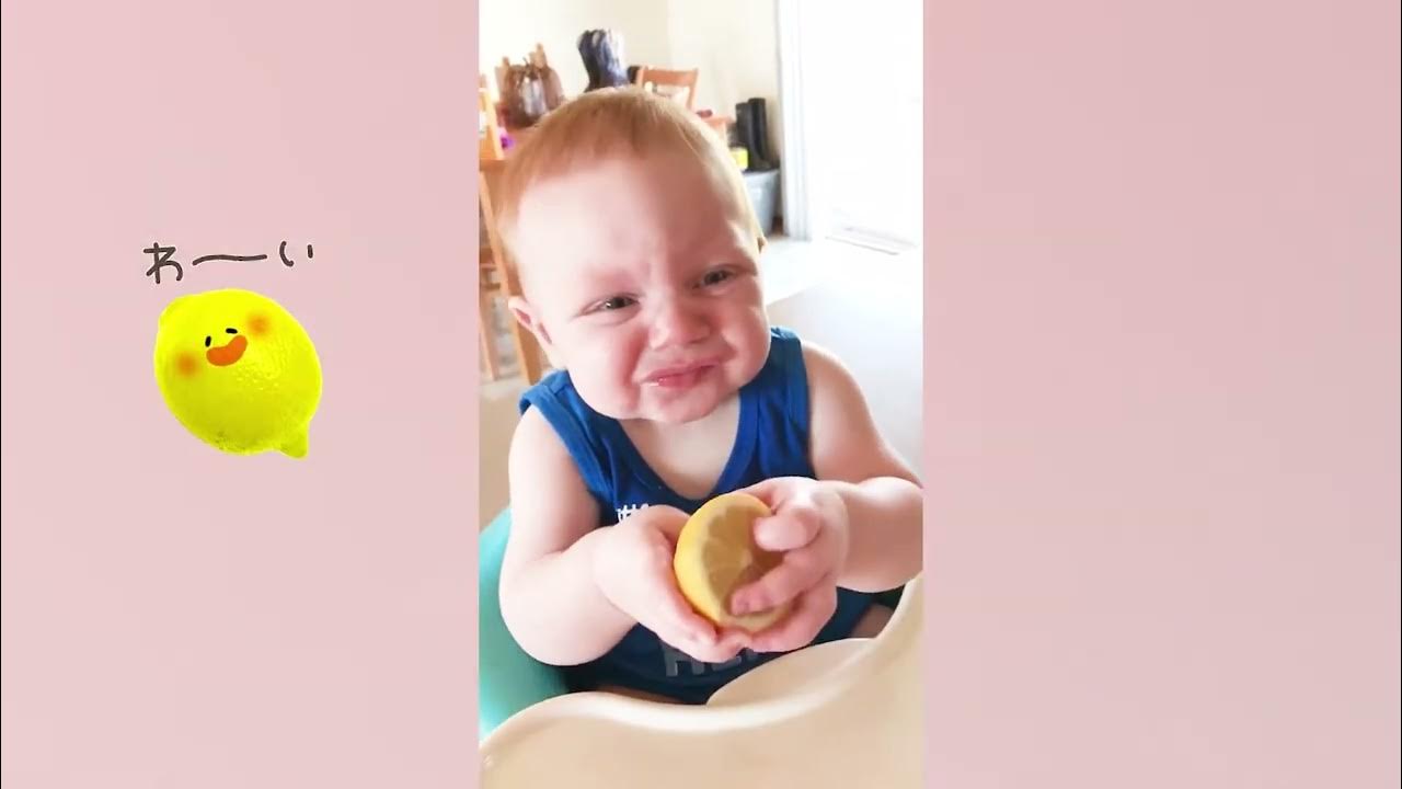 Funny Baby Loves Food Babies Eating Compilation #2 - YouTube