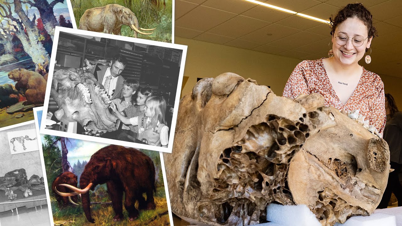 Original PFW Mastodon roars through history in new display - YouTube