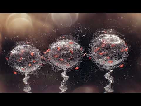 3Men's Kebab in Rüti / ZH