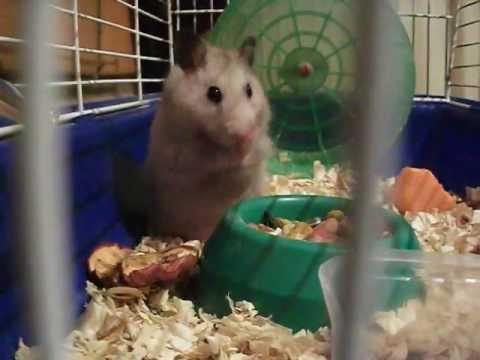 nina tomando banho ;p